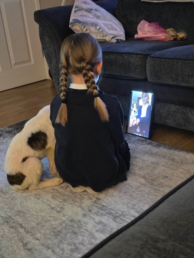 Yoshi - Lurcher - The Underdogs NI